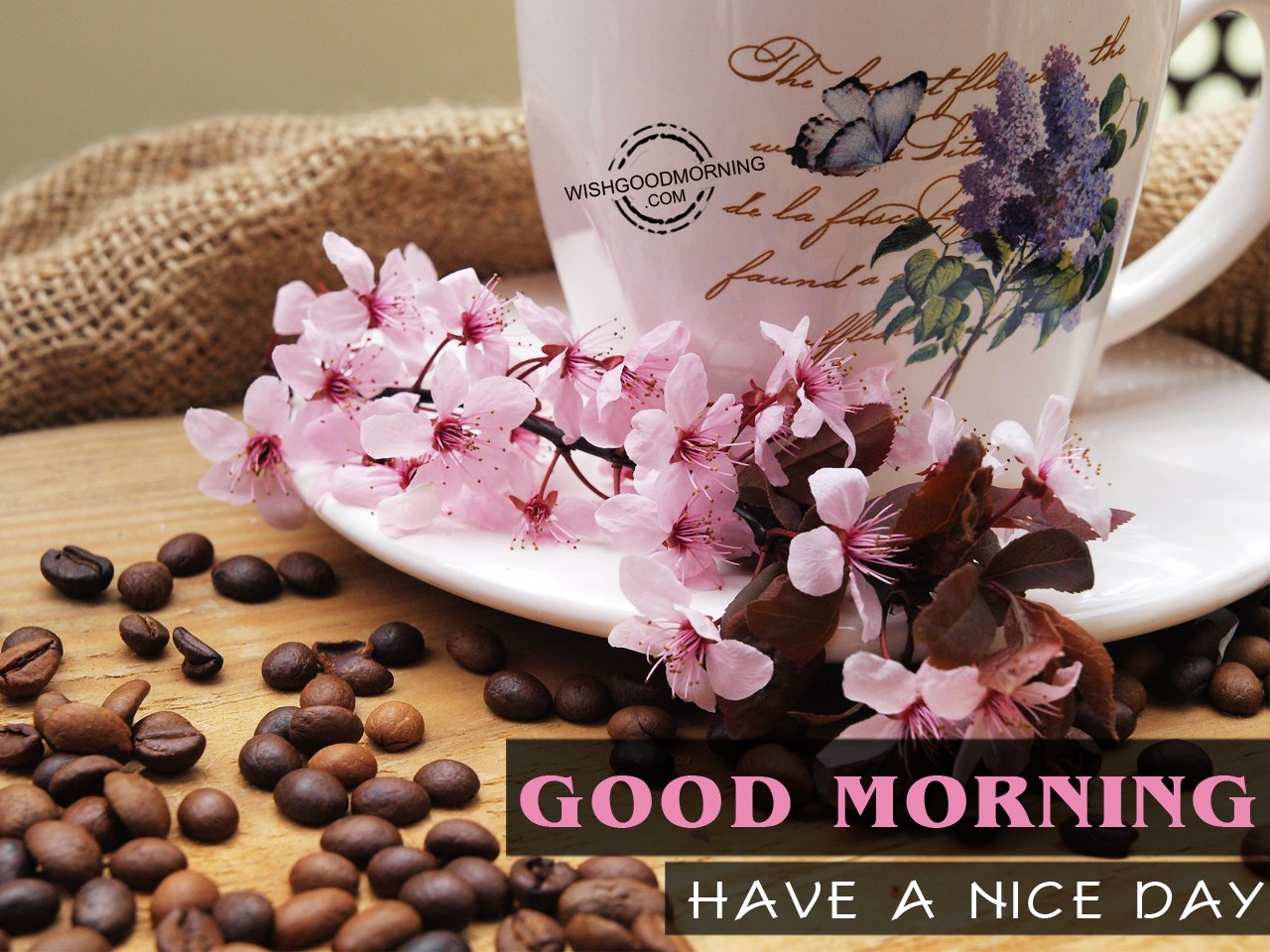 Good Morning, Have A Nice Day - Good Morning Pictures – WishGoodMorning.com Good Morning, Have A Nice Day - Good Morning Pictures – WishGoodMorning.com