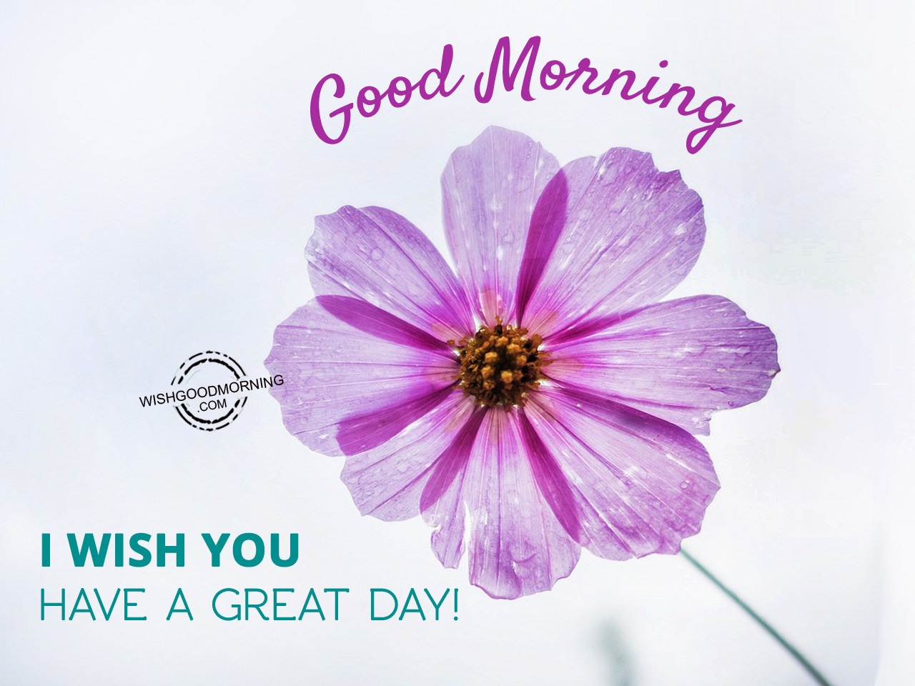 Good Morning Wishes - Good Morning Pictures – WishGoodMorning.com Good Morning Wishes - Good Morning Pictures – WishGoodMorning.com