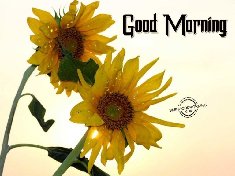 Start The Good Day And Good Health With – Good Morning - Good Morning ...